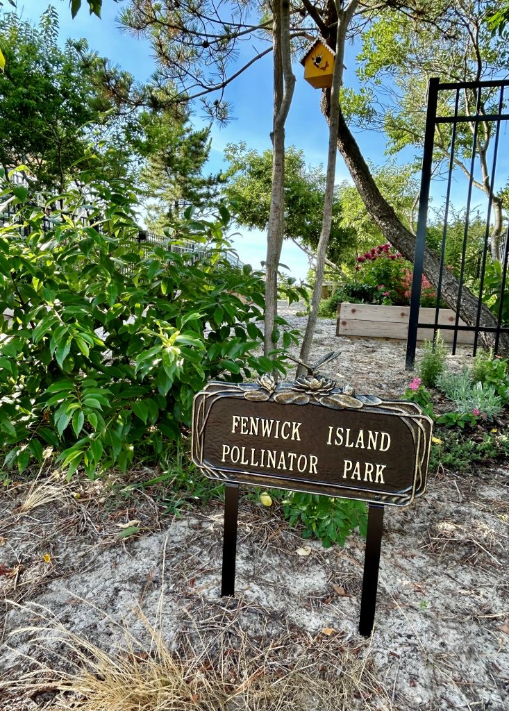 Fenwick Island | Sussex County, Delaware